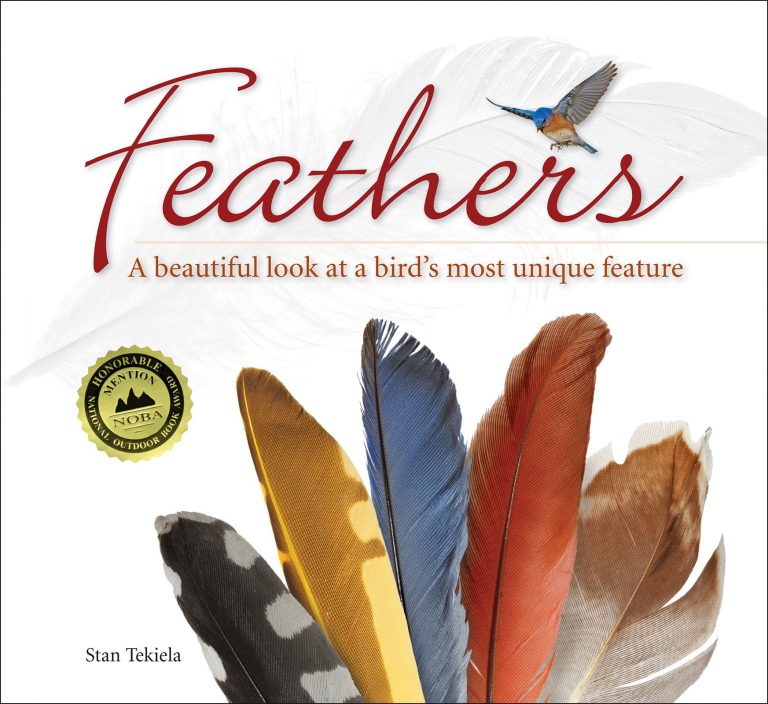 What's That Feather? Great Tools and Books to ID Unknown Feathers - A ...