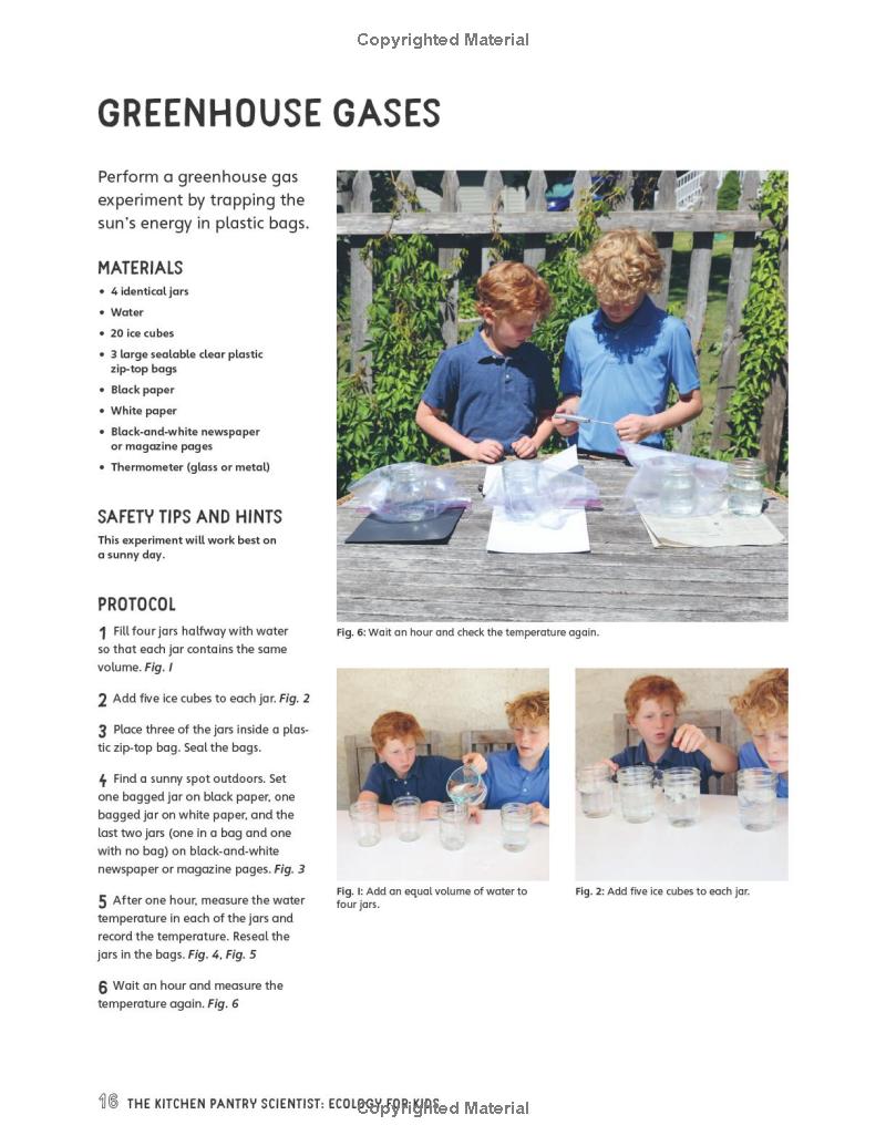 Review: Ecology for Kids - A Magical Homeschool
