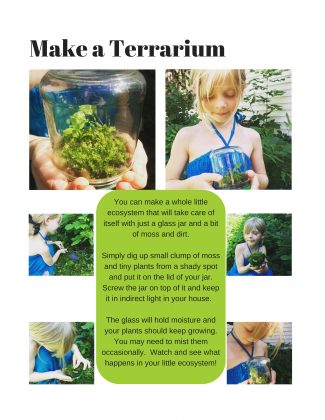50 Fun and Easy Science Experiments & Activities - A Magical Homeschool