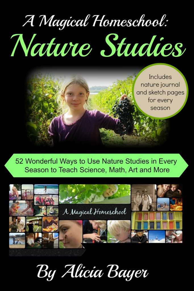 A Magical Homeschool: Nature Studies (52 Wonderful Ways to Use Nature ...