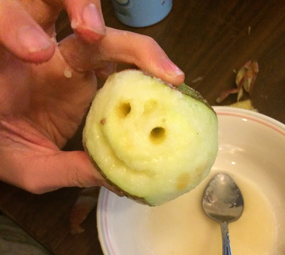 Shrunken Apple Heads! – A Magical Childhood