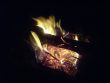 Campfire science! - A Magical Homeschool