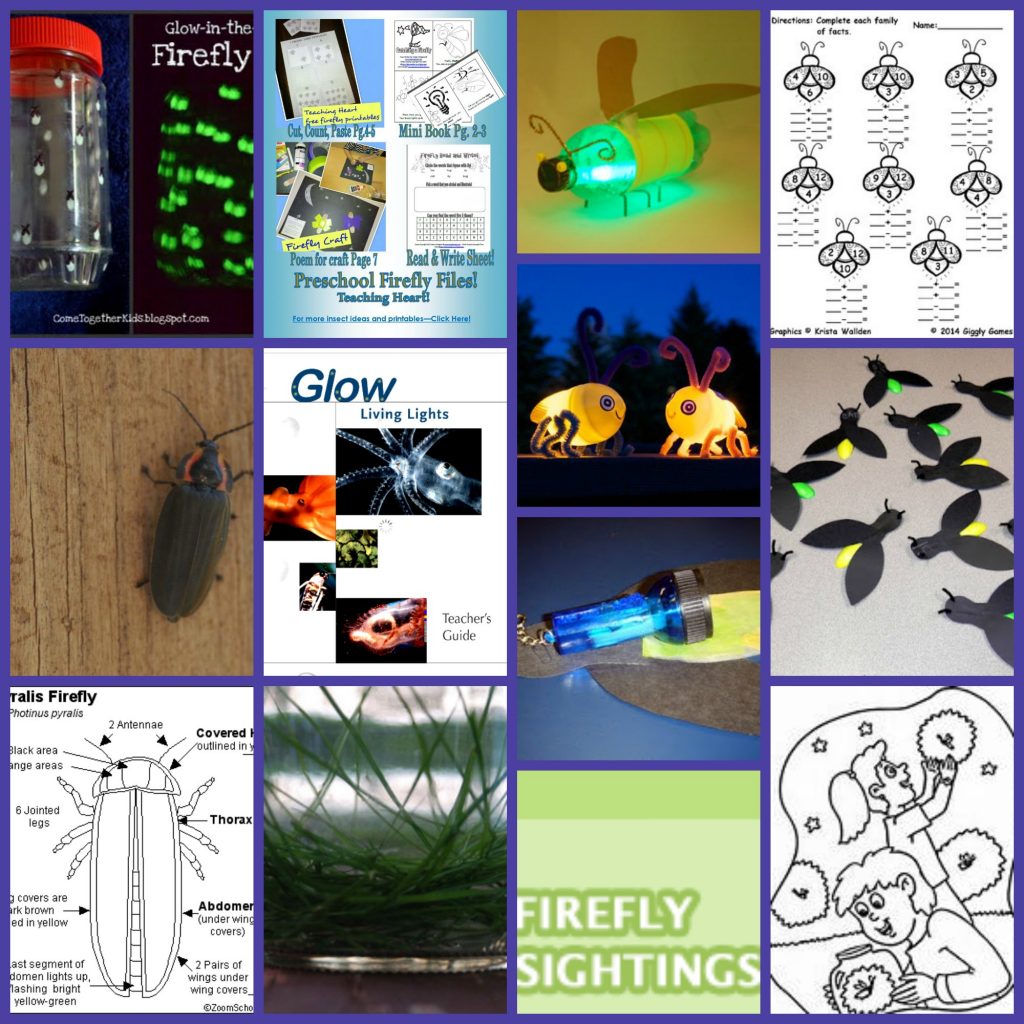 Learn and craft about fireflies! - A Magical Homeschool