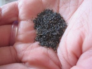 Find meteorites at the beach! - A Magical Homeschool