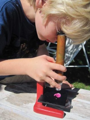 50 Things to look at under a microscope - A Magical Homeschool