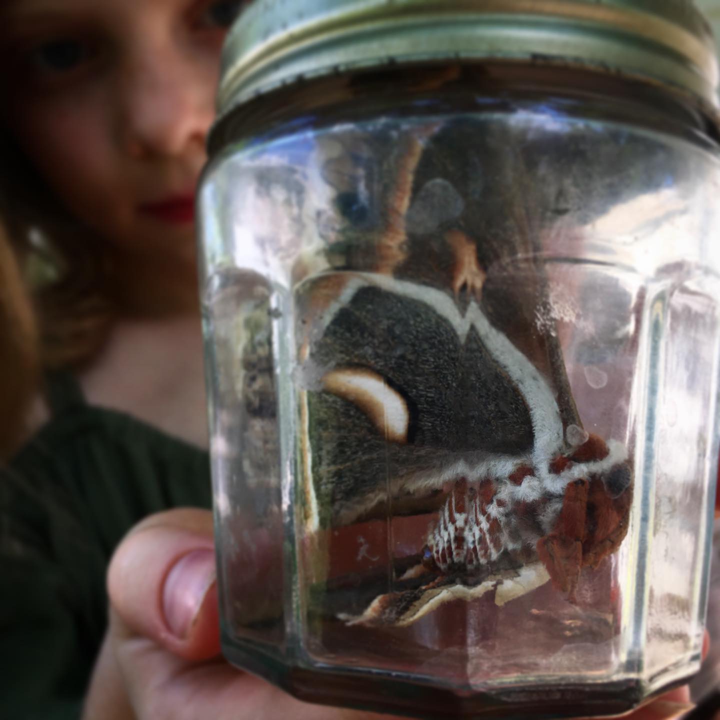 Great science stations for young kids - A Magical Homeschool