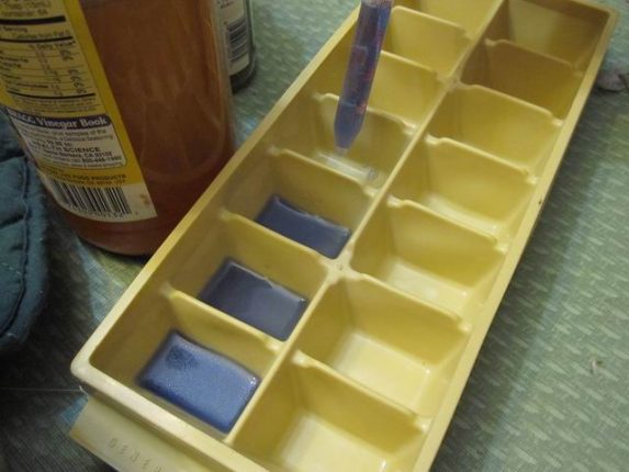 The Purple Cabbage pH Experiment - A Magical Homeschool