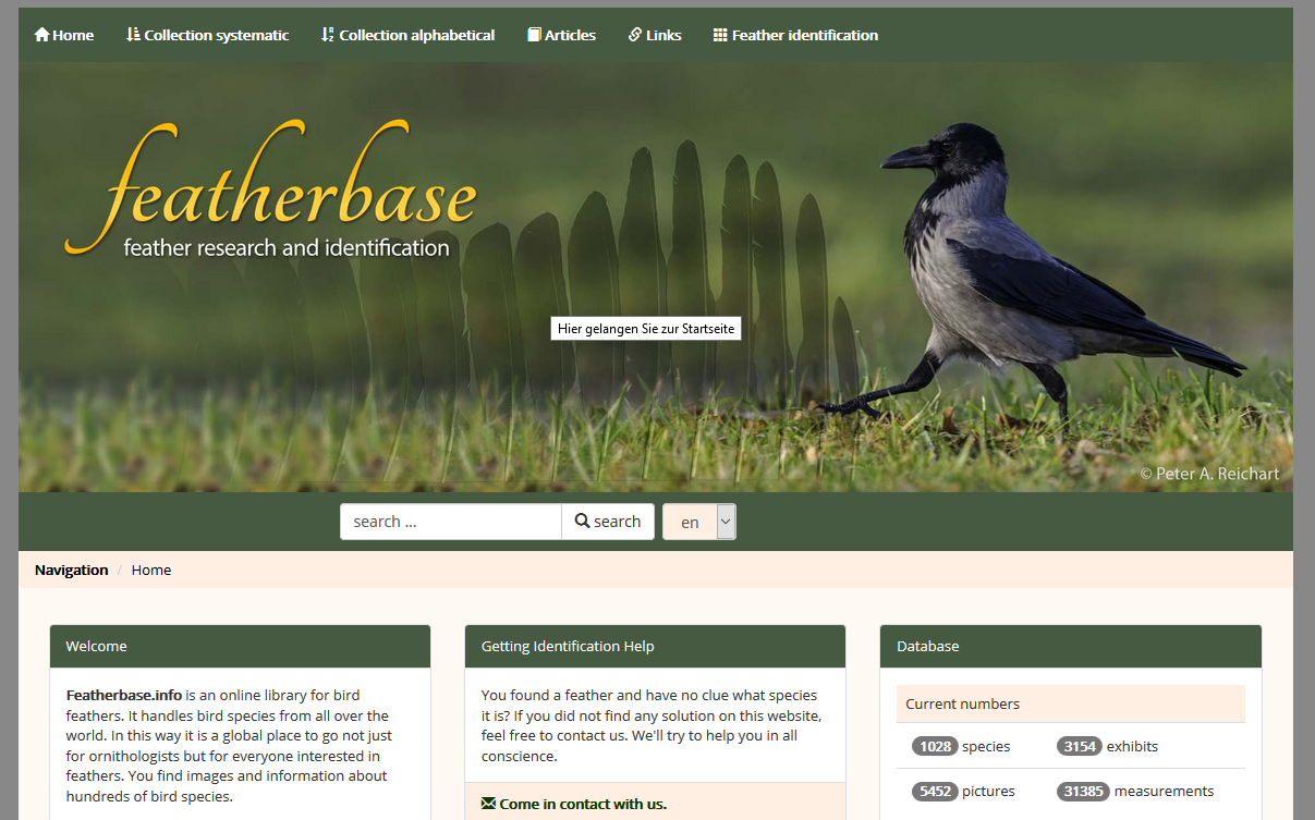 What's That Feather? Great Tools and Books to ID Unknown Feathers - A ...