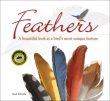 What's That Feather? Great Tools and Books to ID Unknown Feathers - A ...