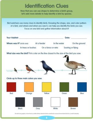 Free Printable Bird Guide - A Magical Homeschool