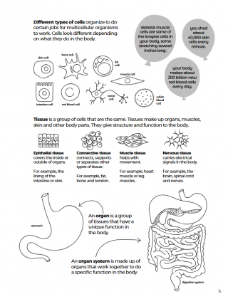 Free 80-Page Health and Hospitals Activity Book for Kids! - A Magical ...