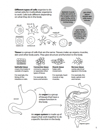 Free 80-Page Health and Hospitals Activity Book for Kids! - A Magical ...