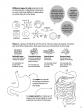 Free 80-Page Health and Hospitals Activity Book for Kids! - A Magical ...