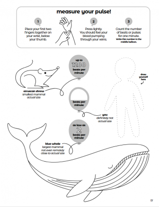 Free 80-Page Health and Hospitals Activity Book for Kids! - A Magical ...