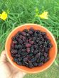 10 Delicious ways to use mulberries - A Magical Life