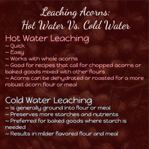 How to make acorn flour - A Magical Life