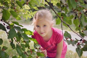 Foraging with Kids: How to Easily Forage Mulberries - A Magical Life