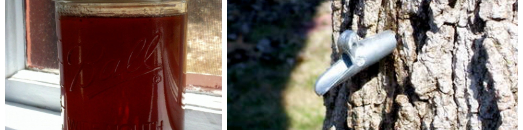 A Magical Life – Passing on traditional skills like foraging, cooking ...