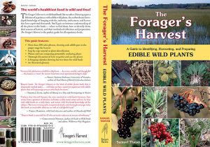 Which Wild Edible Plants Are Covered in Samuel Thayer's Foraging Books ...