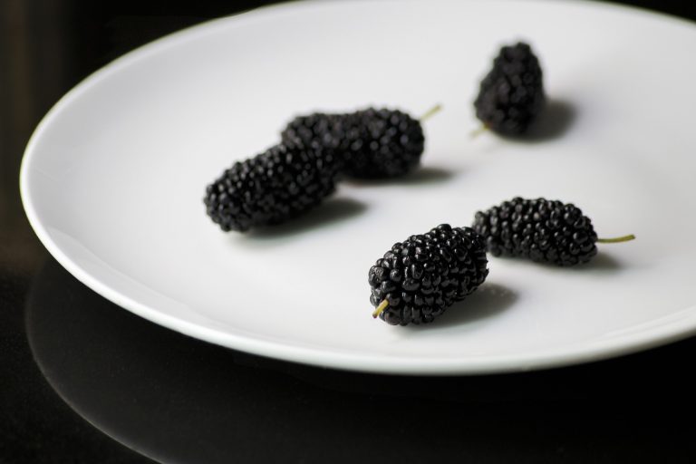 Wonderful Ways to Use Mulberries - A Magical Life
