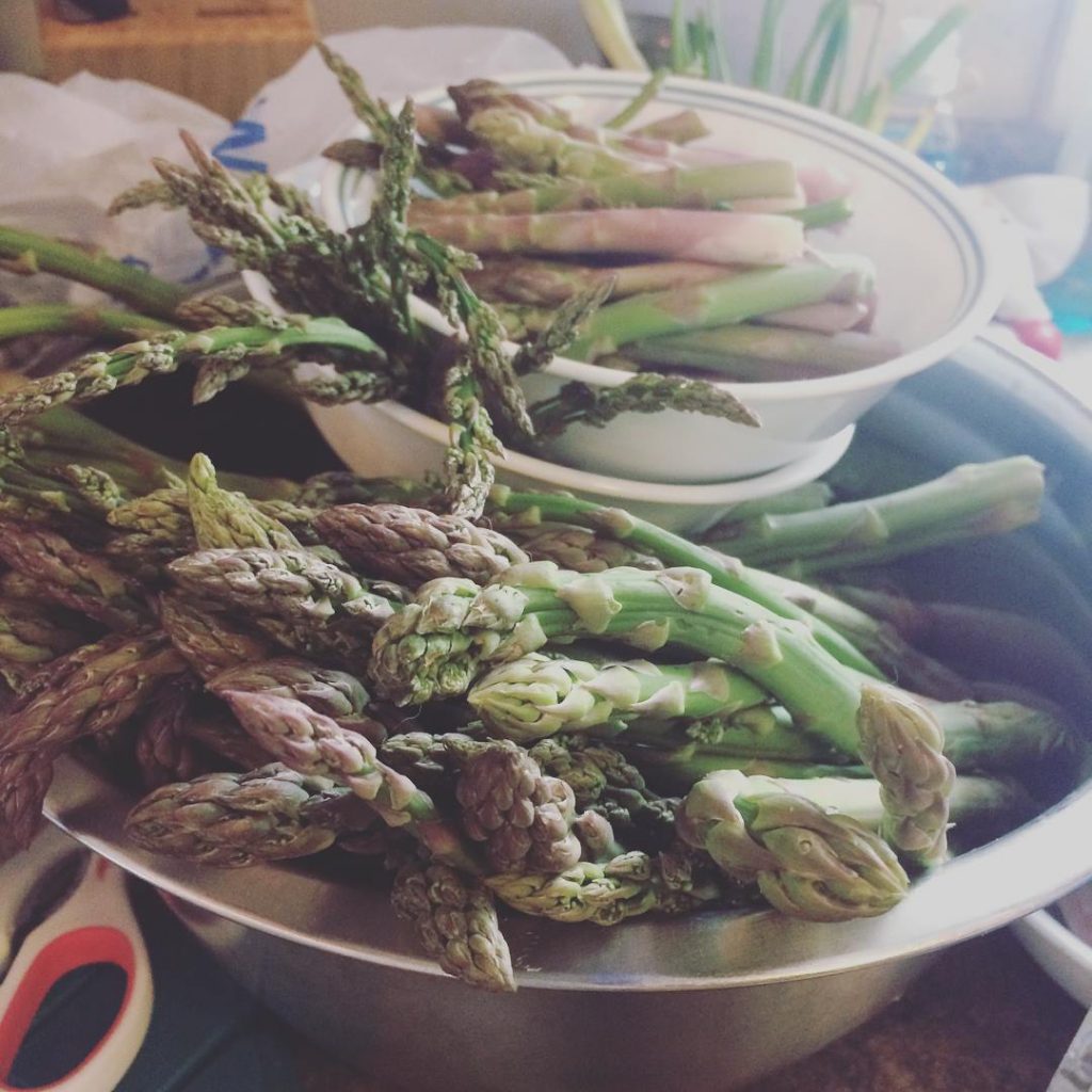 Our June Foraging Wrap-Up - A Magical Life