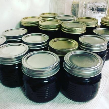 A New Favorite Foraging Book: The Fruit Forager's Companion - A Magical ...