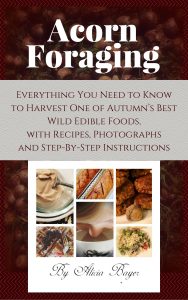 10 Great New Foraging Books from 2018 for Your Holiday Wish List - A ...