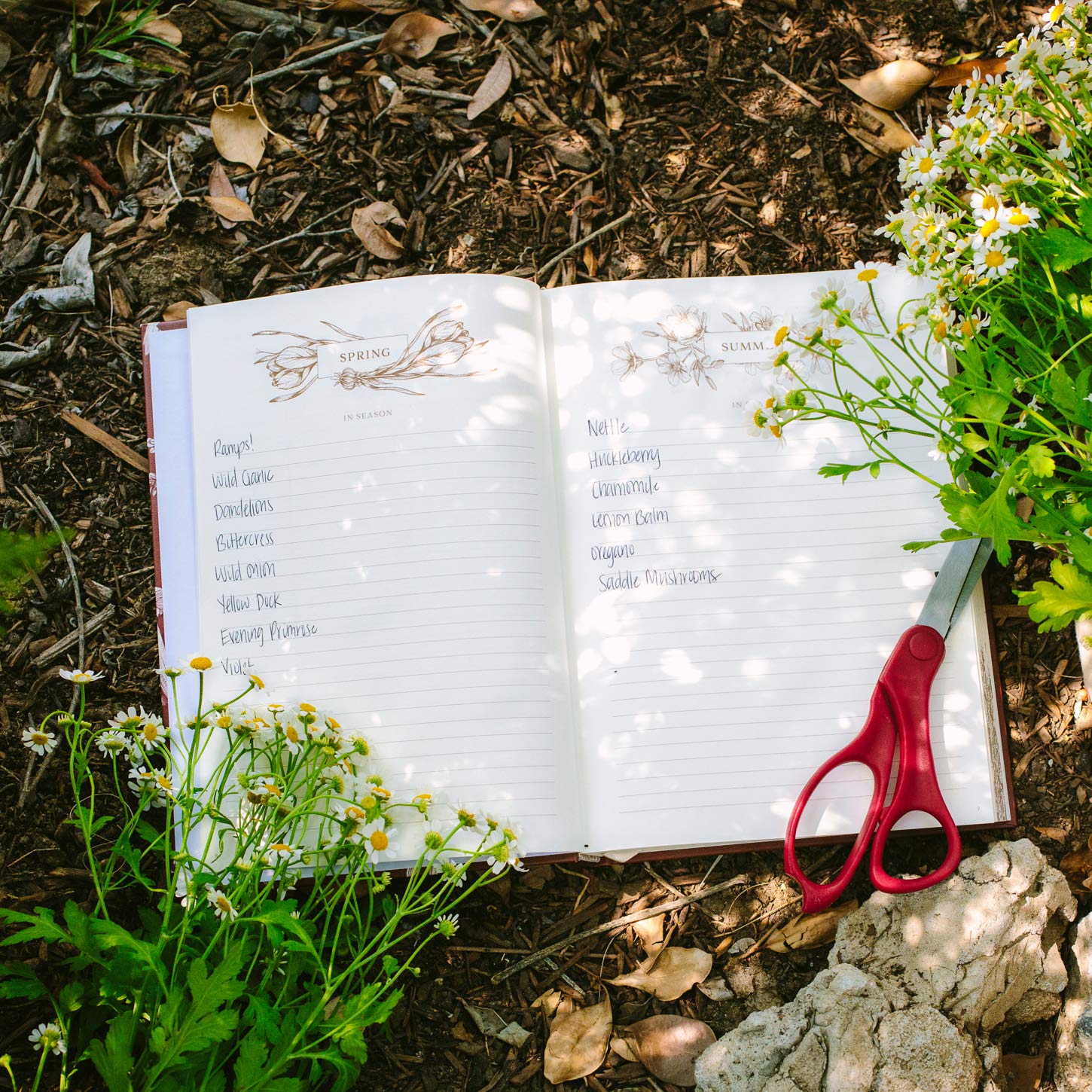 10 Great New Foraging Books from 2018 for Your Holiday Wish List - A ...