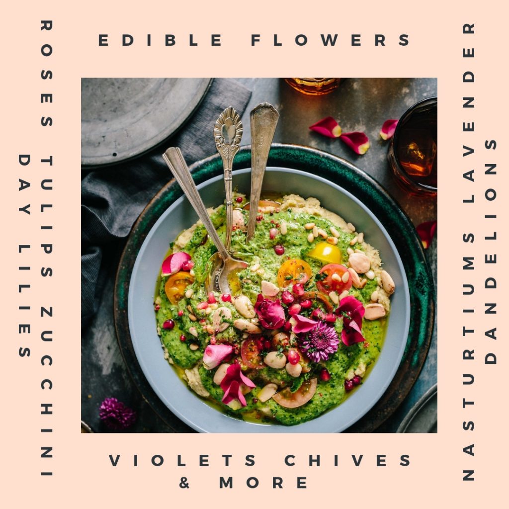 10 Edible Flowers and How to Use Them - A Magical Life