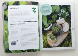 Review: Family Foraging - A Magical Life