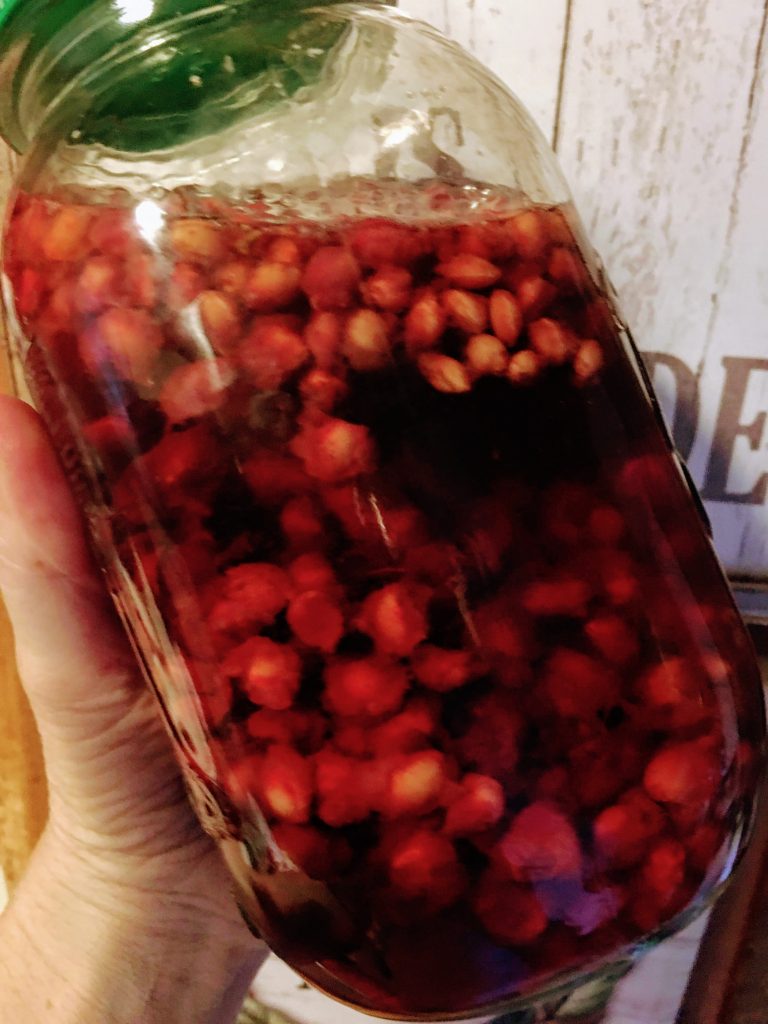 You Really Need a Cherry Tree (Plus Easy Cherry Pit Syrup and Liqueur ...