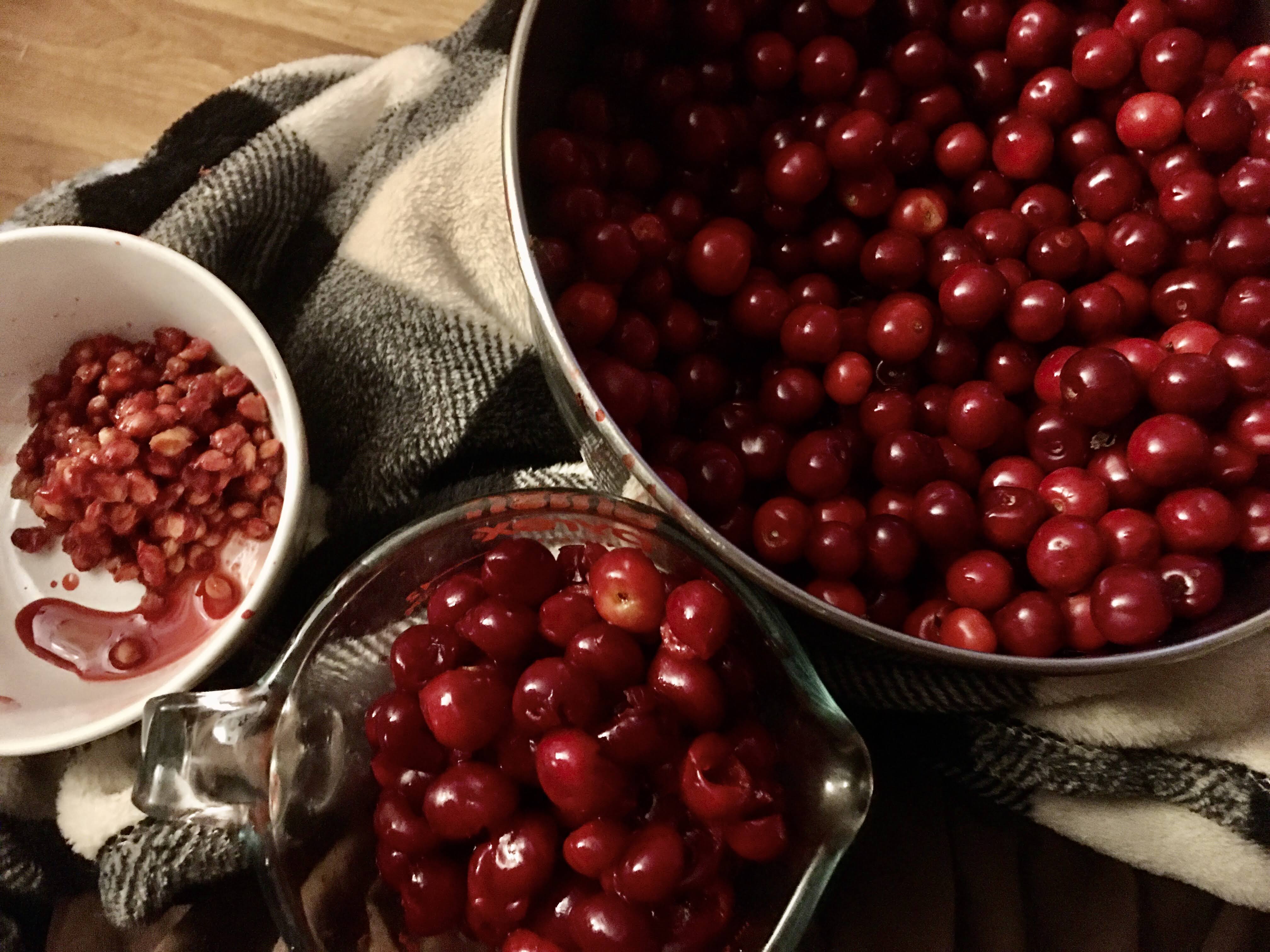 You Really Need a Cherry Tree (Plus Easy Cherry Pit Syrup and Liqueur ...