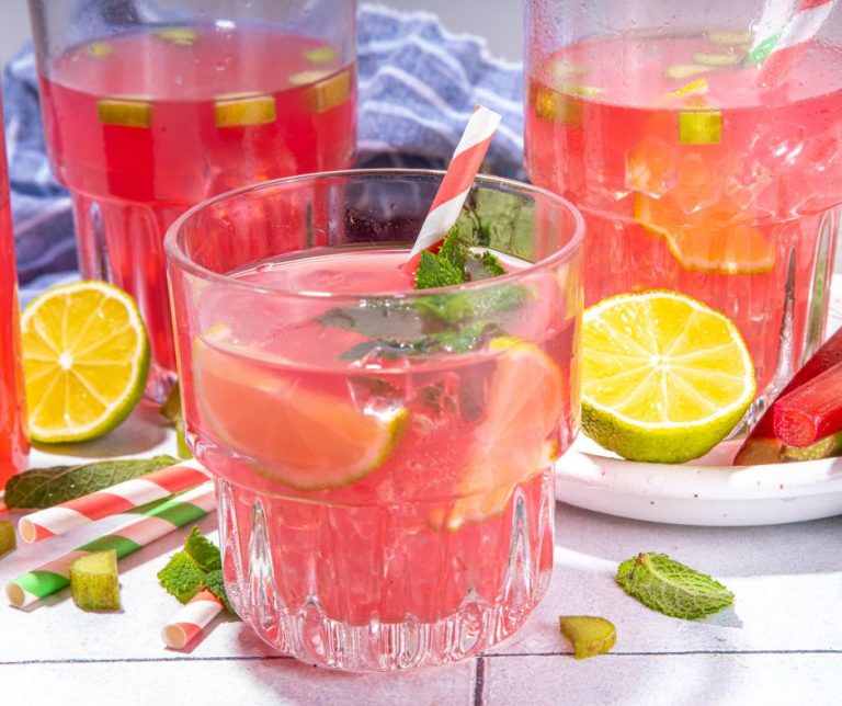 Harvest Recipe: Rhubarb Lemonade - A Magical Life