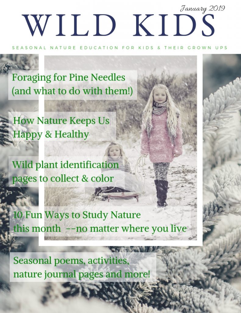 Wild Kids – Seasonal Nature Education for Kids & Their Grown ups