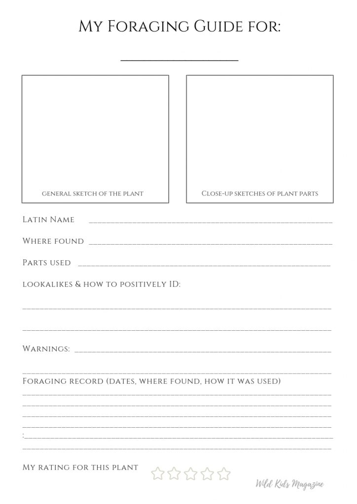 Wild Kids Magazine for February – Wild Kids