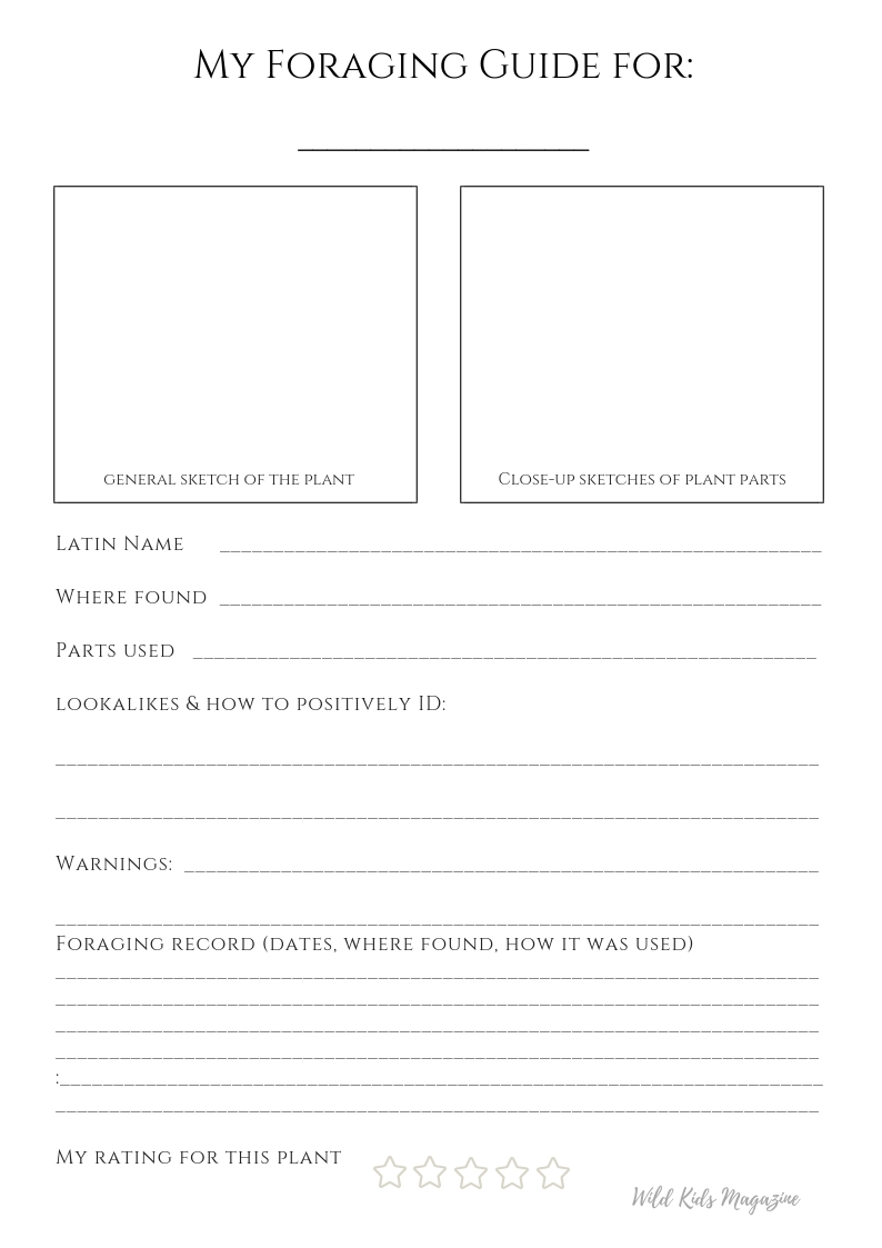 Wild Kids Magazine for February – Wild Kids