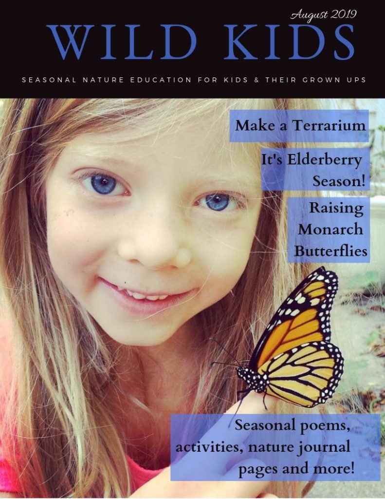 Wild Kids Magazine for August – Wild Kids