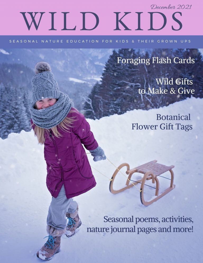 Wild Kids – Seasonal Nature Education for Kids & Their Grown ups