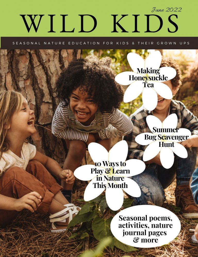 Wild Kids – Seasonal Nature Education for Kids & Their Grown ups