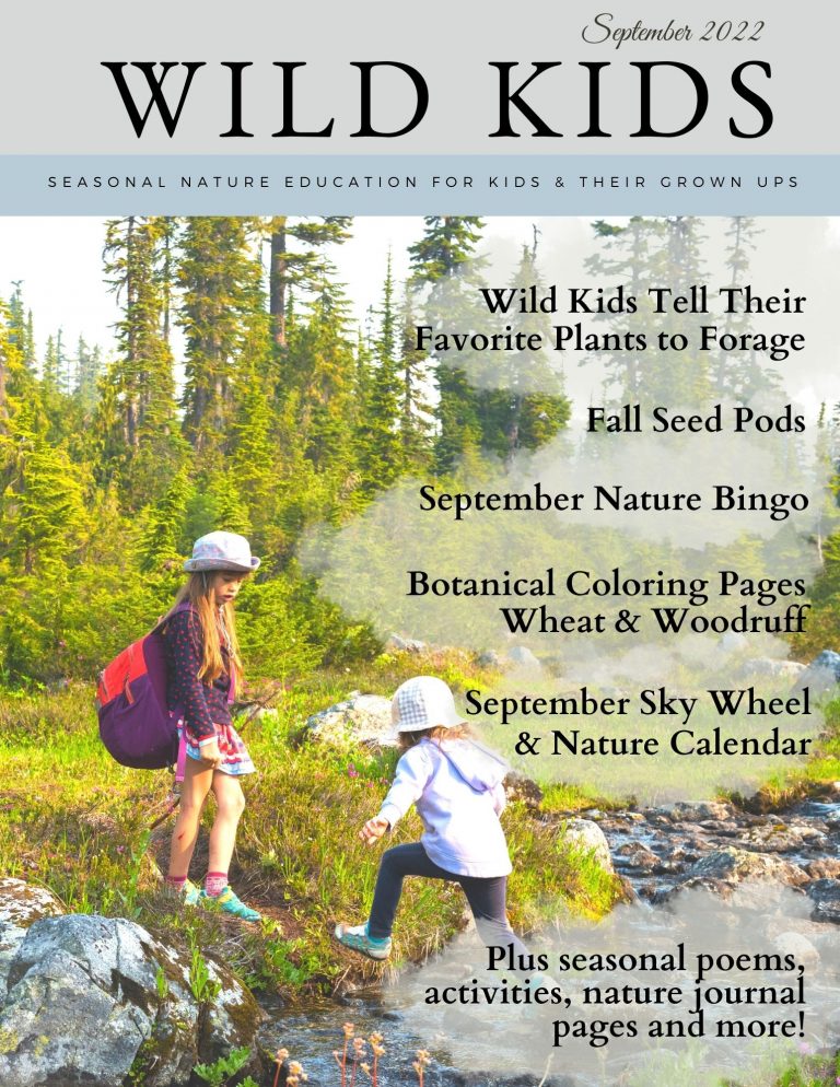 Wild Kids – Seasonal Nature Education for Kids & Their Grown ups