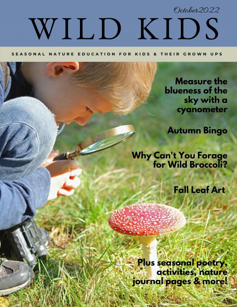 Wild Kids – Seasonal Nature Education for Kids & Their Grown ups