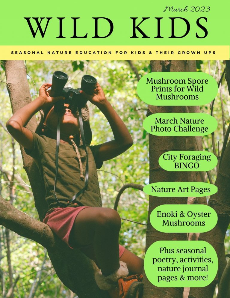 Wild Kids – Seasonal Nature Education for Kids & Their Grown ups