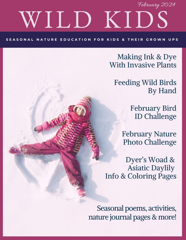 Wild Kids – Seasonal Nature Education for Kids & Their Grown ups