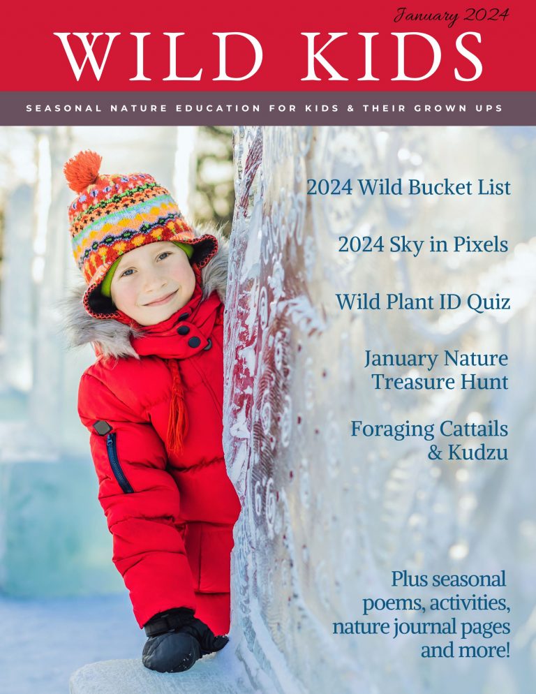 Wild Kids Magazine for January 2024 – Wild Kids