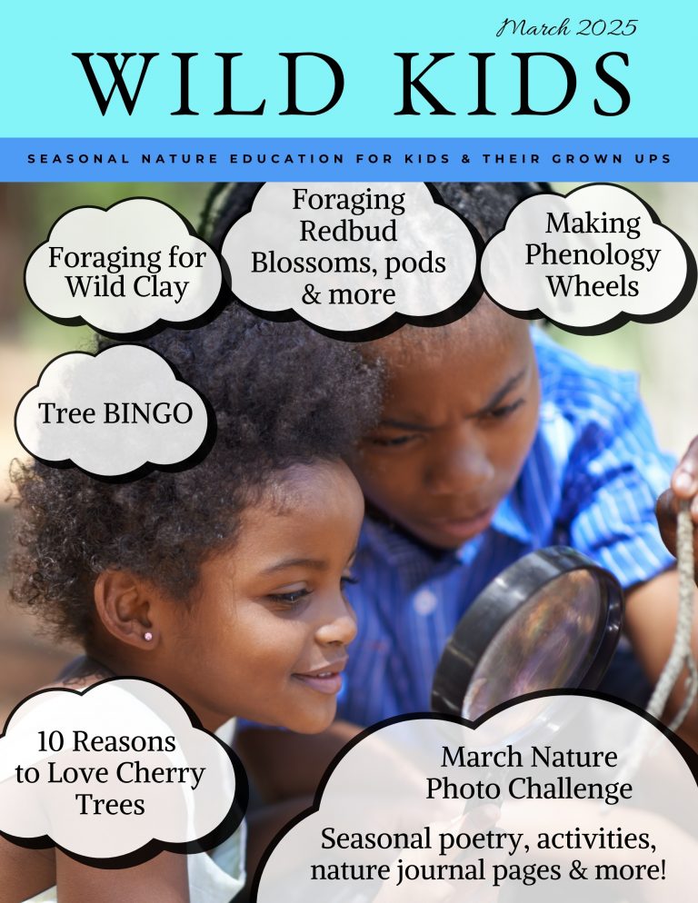 Wild Kids Magazine for March 2025 – Wild Kids